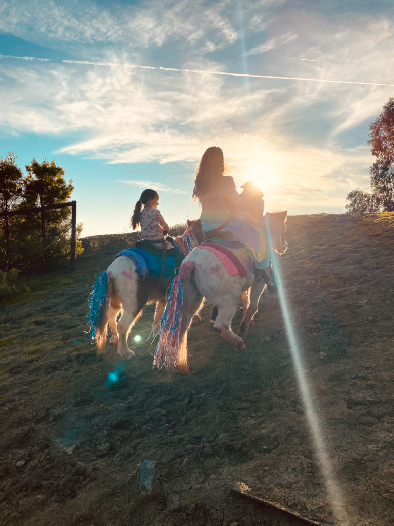 Magical Unicorn Pony Ride - Stylish Petite